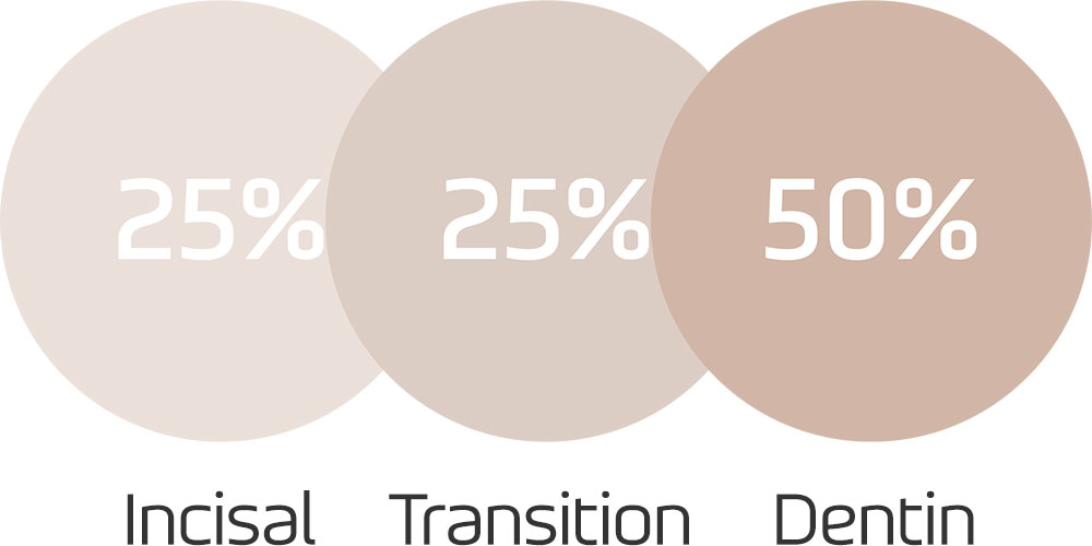 Perfit FS – Vatech UK